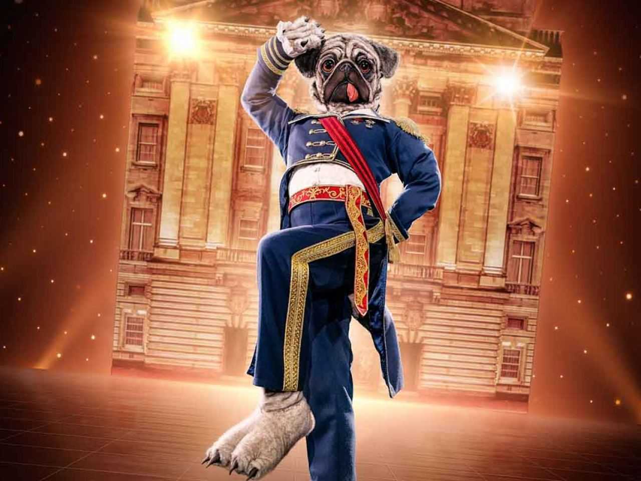 Haast iedereen is het erover eens: 'Deze BV zit in het pak van Kolonel ...