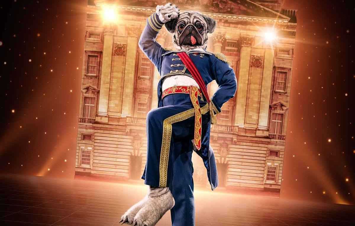 Haast iedereen is het erover eens: 'Deze BV zit in het pak van Kolonel Mops' | Redactie24